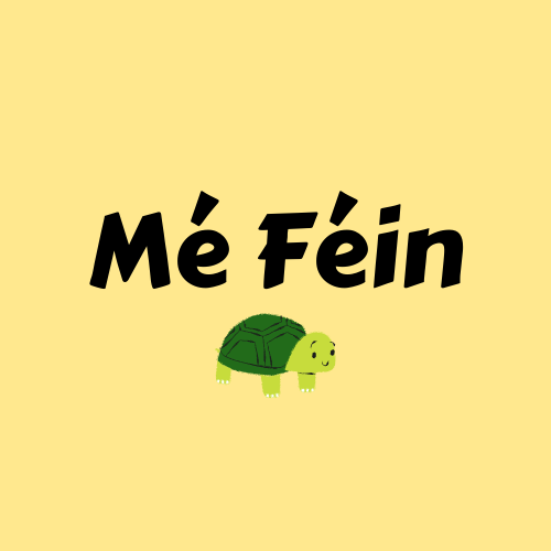 Mé Féin – St Mary's Primary School